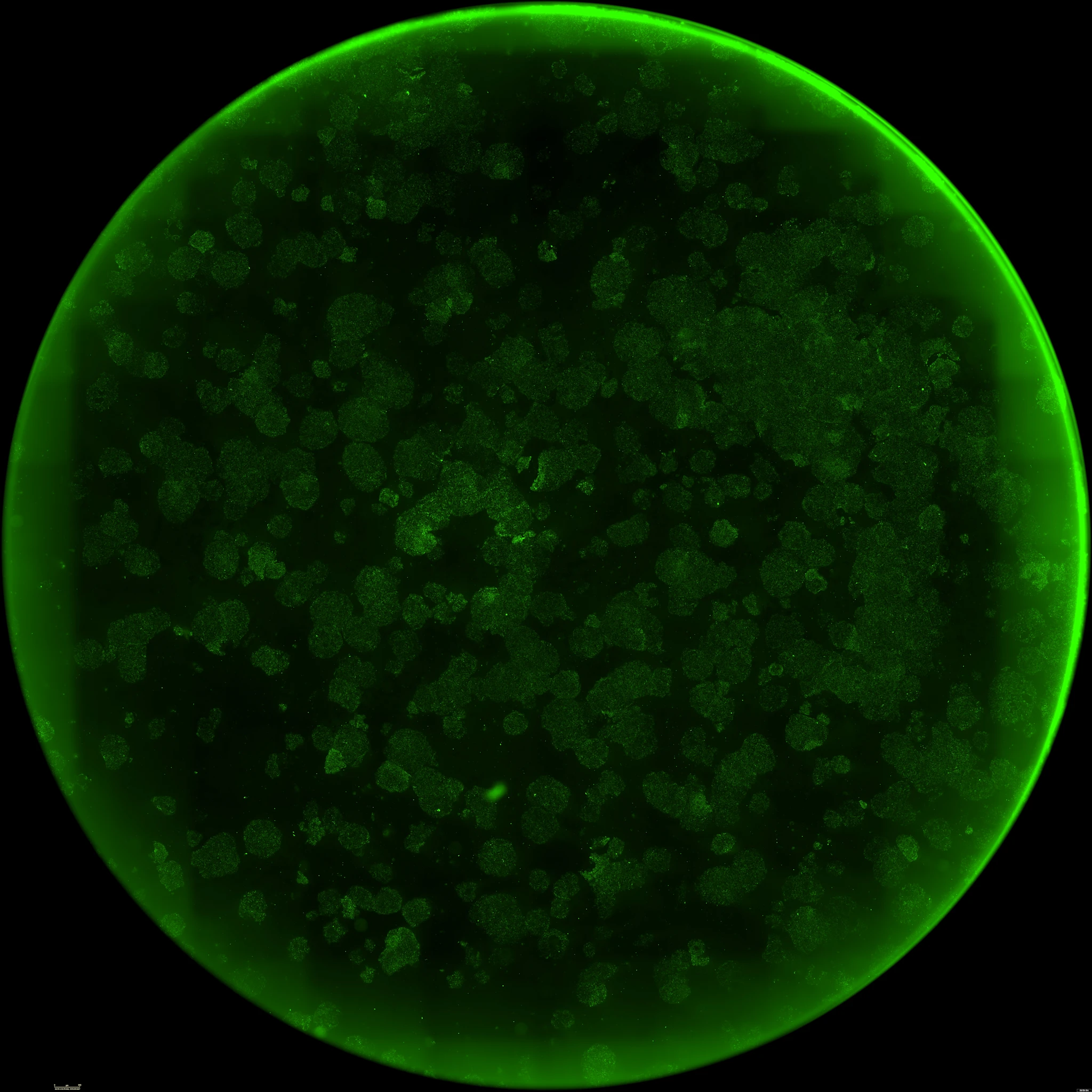 Accelerating life sciences research | OpenAI