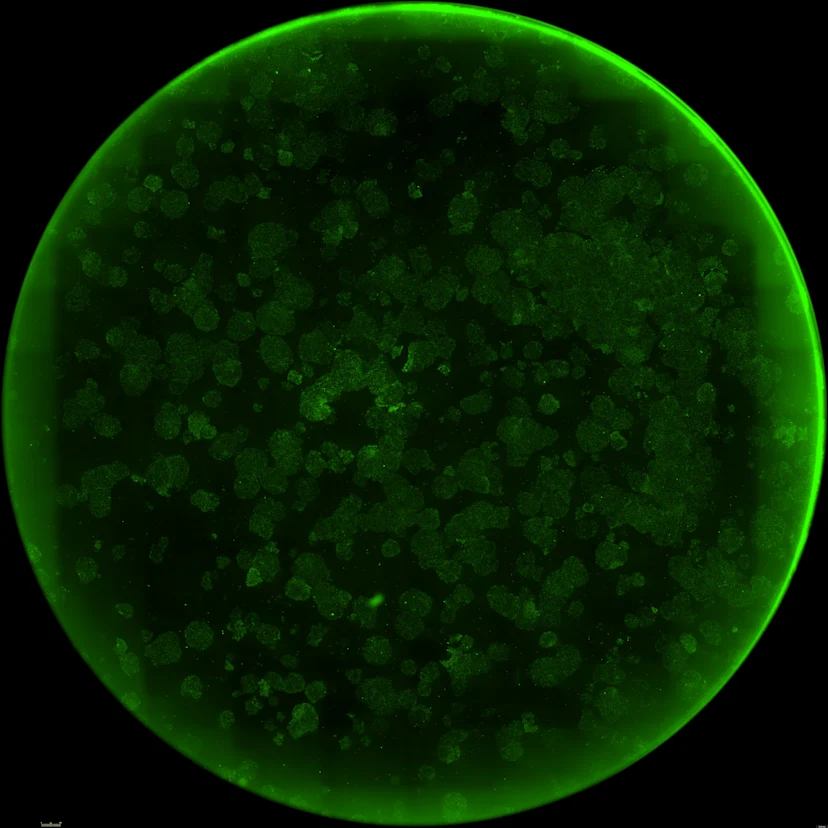 Accelerating life sciences research | OpenAI