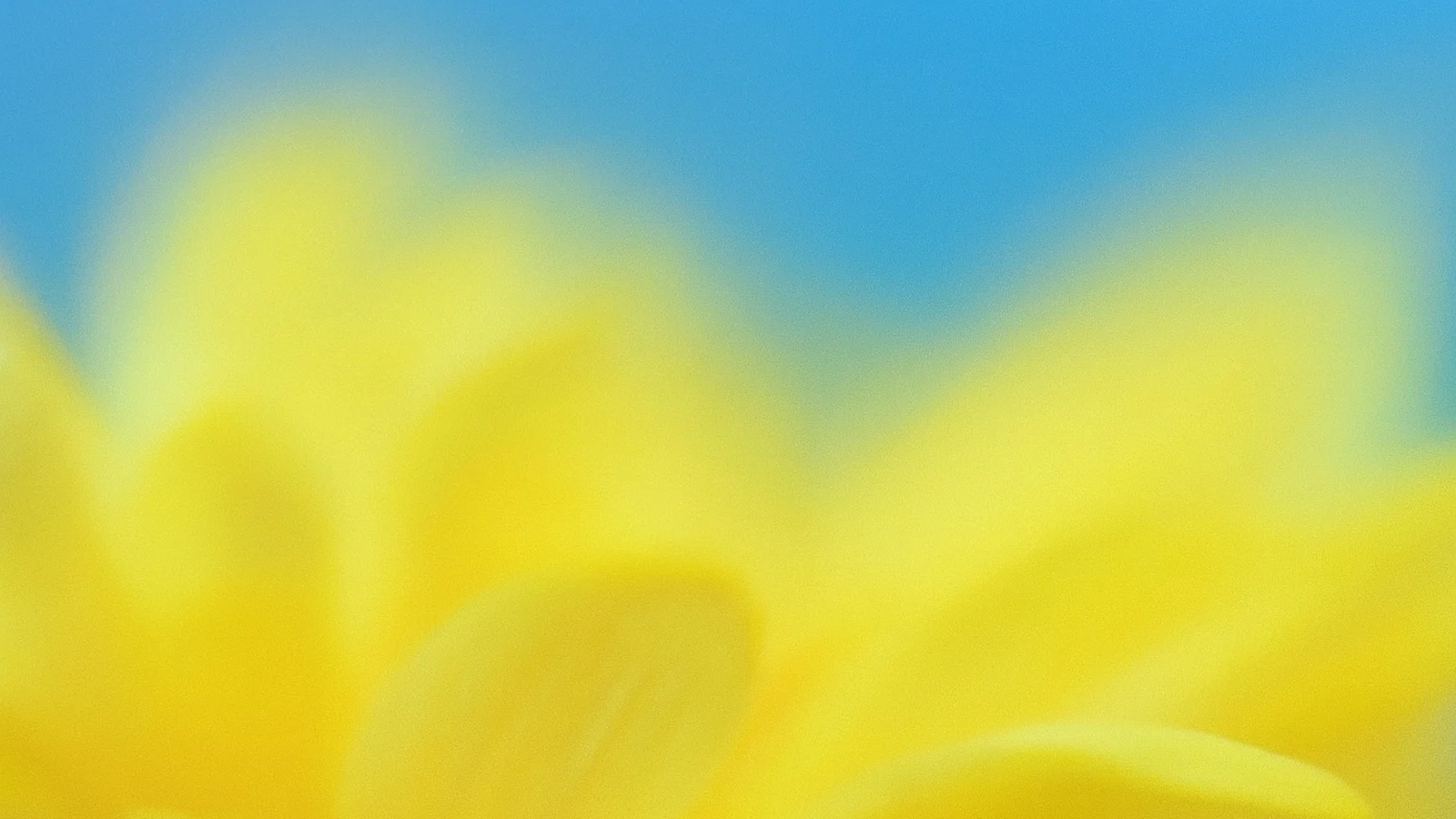 OpenAI takes an ownership stake in Thrive Holdings to accelerate ...