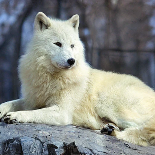 Simplifying, stabilizing, and scaling continuous-time consistency models | OpenAI