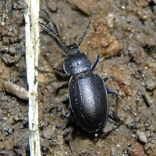 Simplifying, stabilizing, and scaling continuous-time consistency models | OpenAI