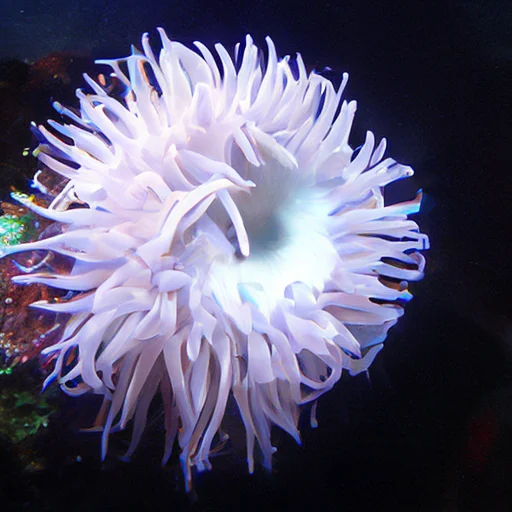 Simplifying, stabilizing, and scaling continuous-time consistency models | OpenAI