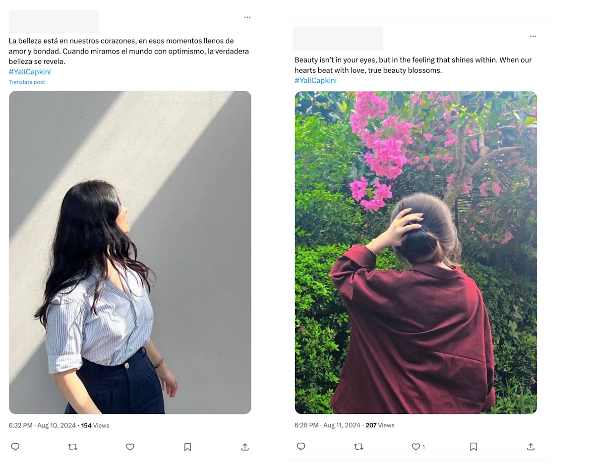 Disrupting a covert Iranian influence operation | OpenAI