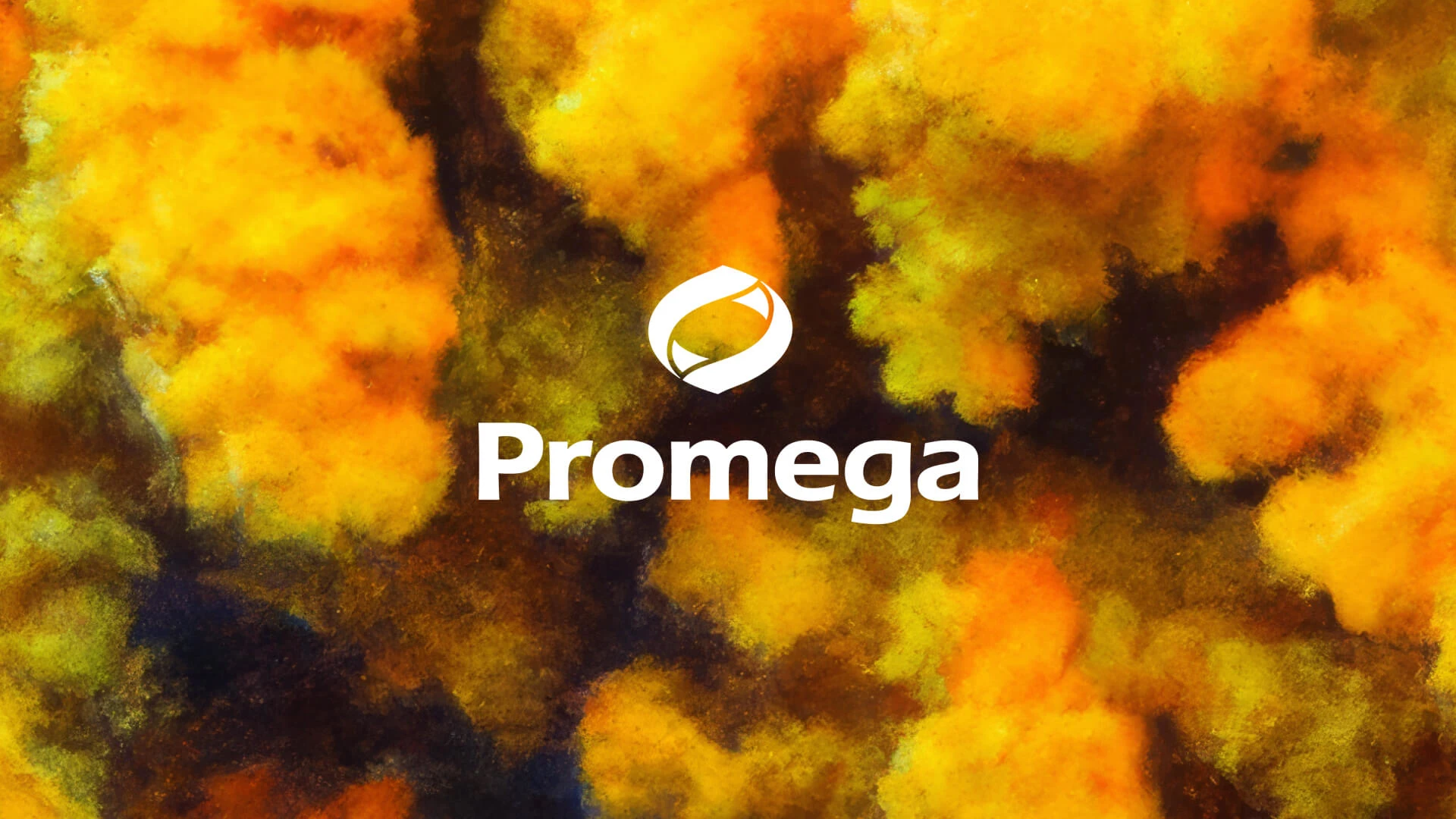 Promega's top-down adoption of ChatGPT accelerates manufacturing, sales ...