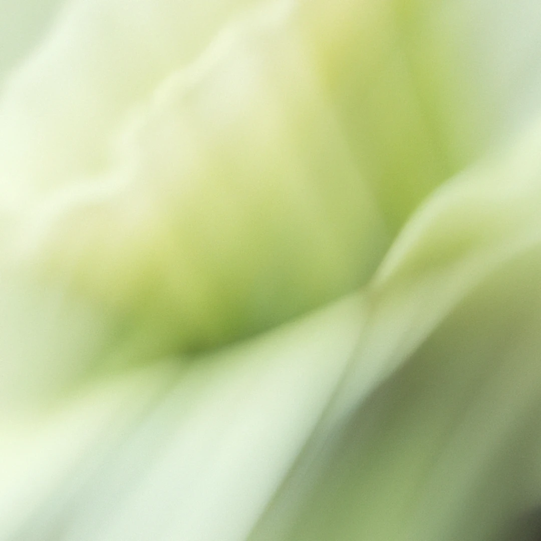 Disrupting malicious uses of AI: June 2025 | OpenAI