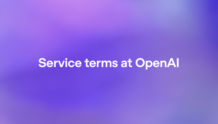 Service Terms Openai