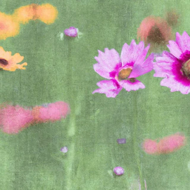 Democratic inputs to AI grant program: lessons learned and ...