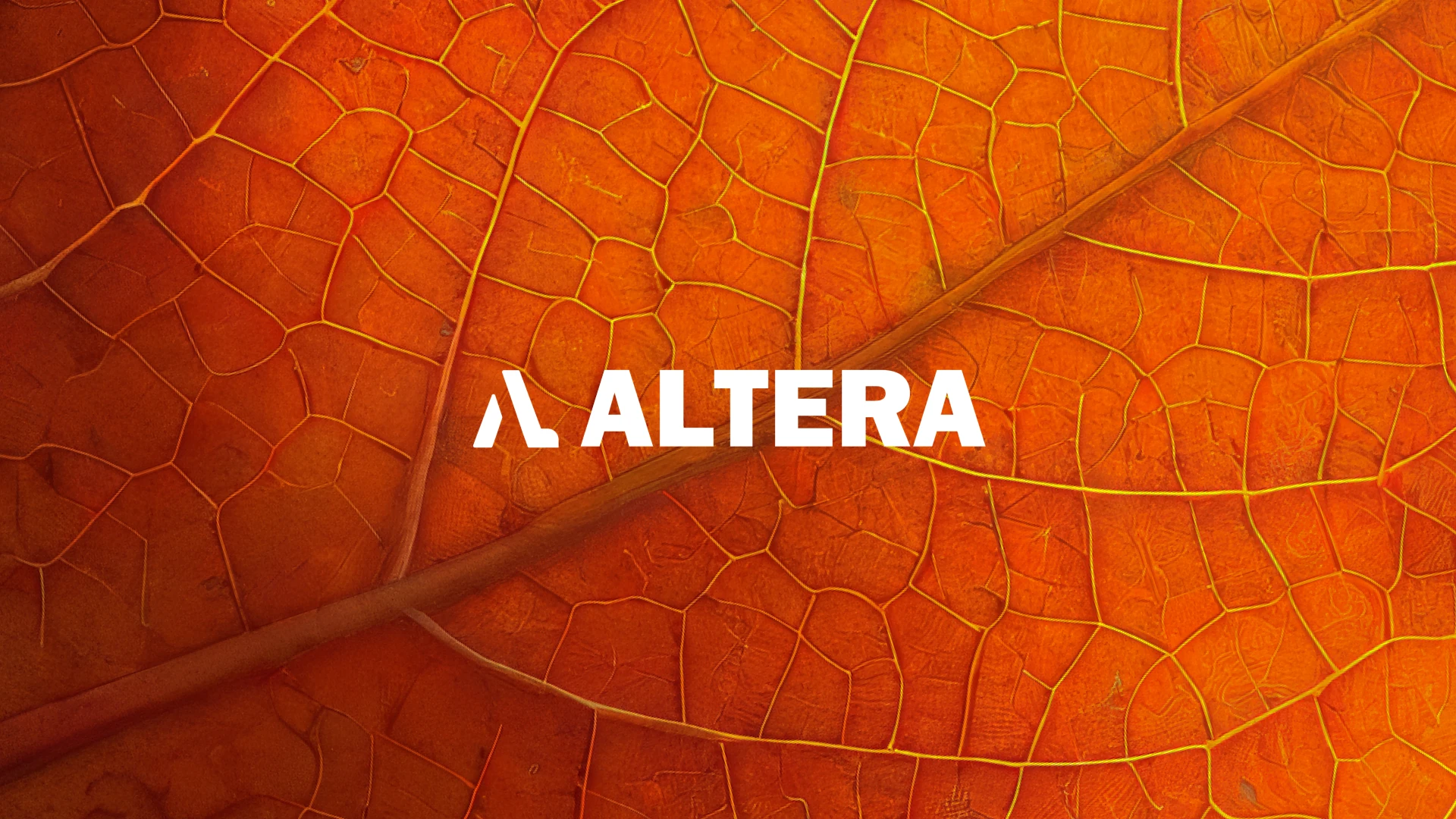 OpenAI and Altera logos appear on a white background, with a central image of a close-up orange ...