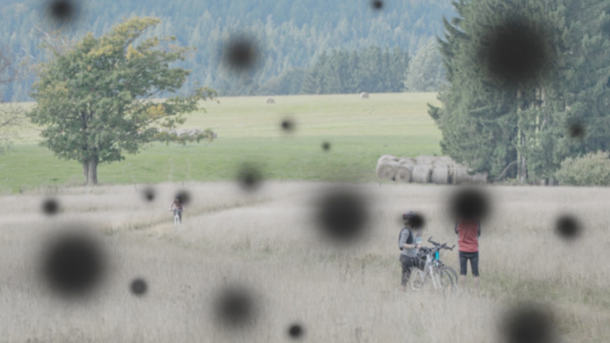 Eyes, Feet, Retinas and Toes, Retinas and Toes — Helpful