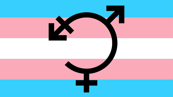 The ‘Detrans’ Phenomenon | Lotus Eaters