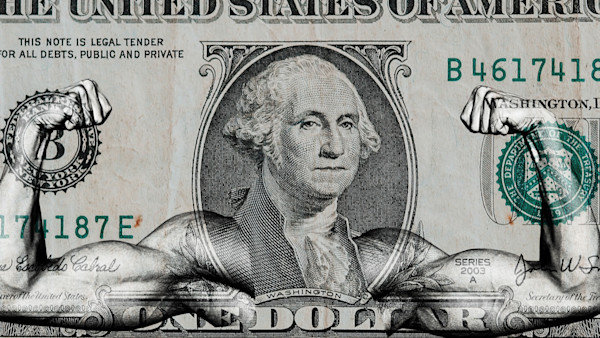 Economics and Fitness | Lotus Eaters