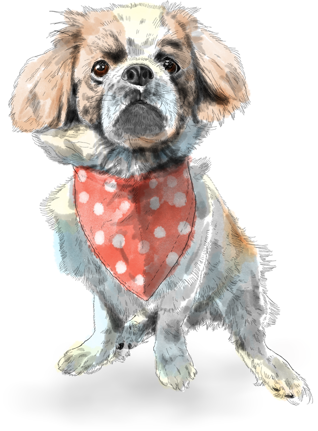 Shortest Path – Adam Dunkley