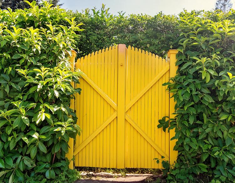 Trees & High Hedge Dispute | Neighbour Dispute Solicitors Online | Lawhive