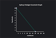 Budget Constraints In Economics Outlier