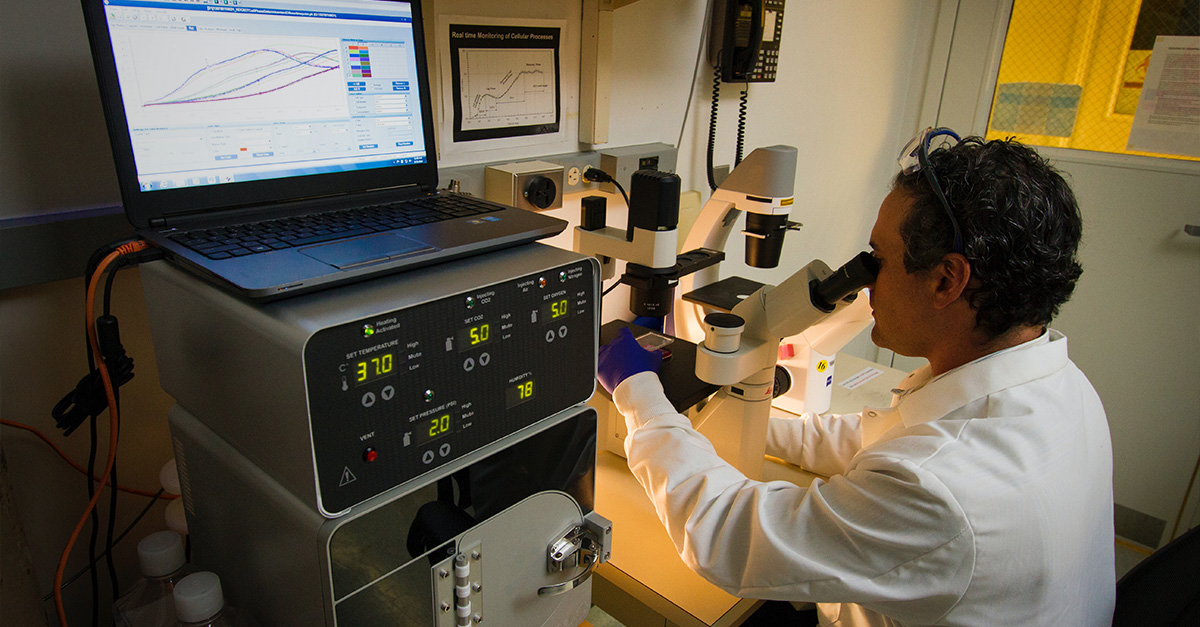 Population vs. Sample: The Big Difference | Outlier