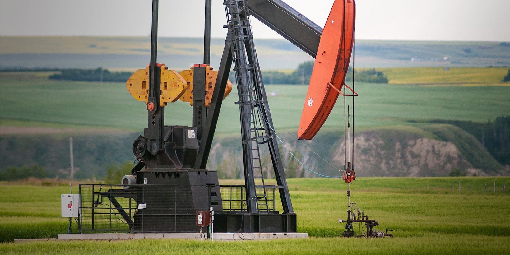 The 5 Determinants of Demand Explained | Outlier