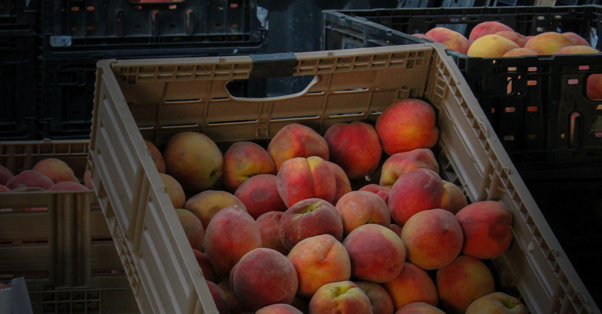 Economic Surplus: Definition & How To Calculate It | Outlier