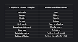 Variable Examples