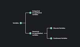 Discrete Vs Continuous Variables Meaning And Differences Outlier