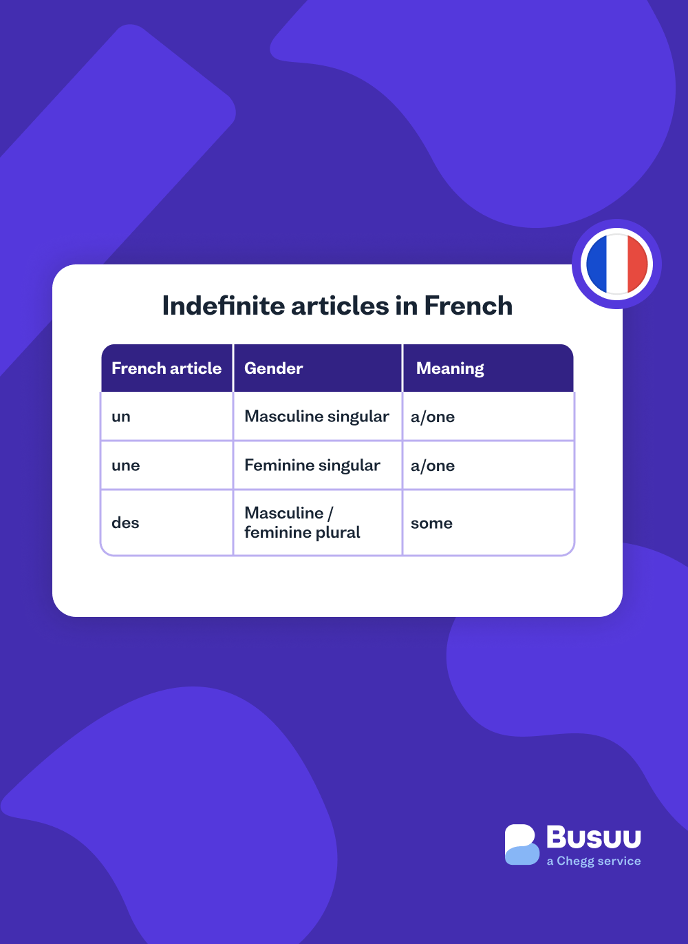 Masculine And Feminine Nouns In French With Examples