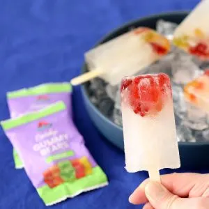 Atkins Bubbly Bear Ice Pops Recipe | @Atkins