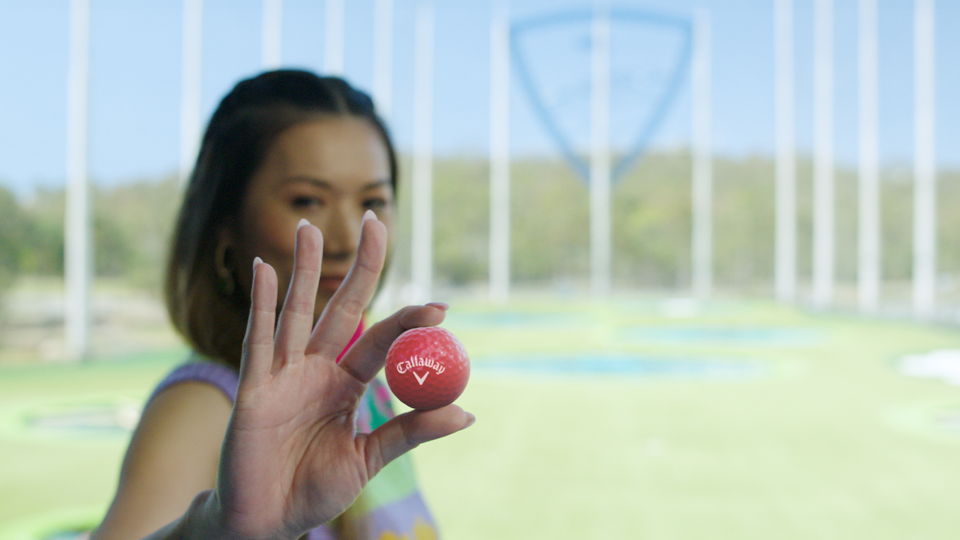 Topgolf Home