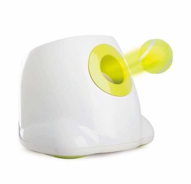 Ballkaster Hund Test 🧪 Hvem stikker av med seieren?