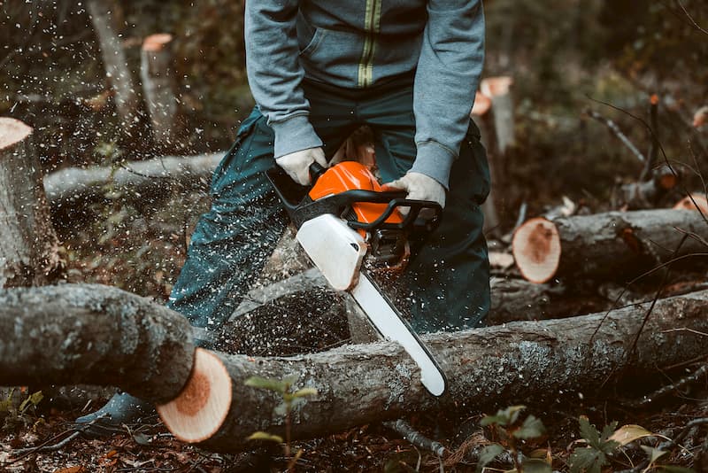 Motorsag test 🧪 Stihl vs Husqvarna, Jonsered. Elektrisk eller Bensin ...