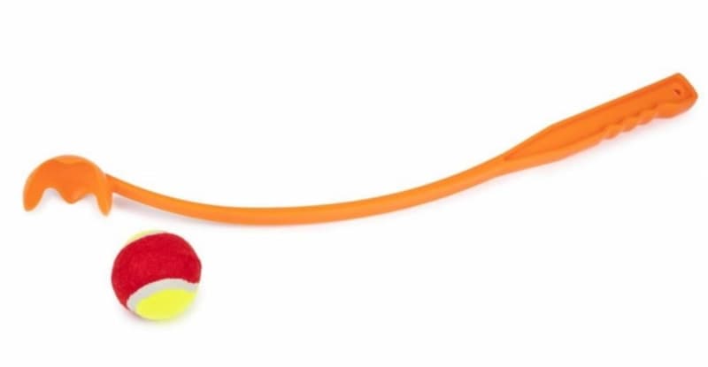 Ballkaster Hund Test 🧪 Hvem stikker av med seieren?