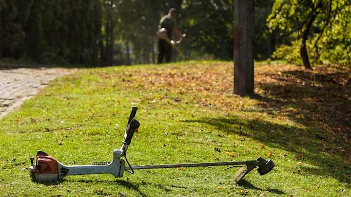 Ryddesag test 🧪 Stihl vs Husqvarna, Jonsered og Honda. Hvem stikker av ...