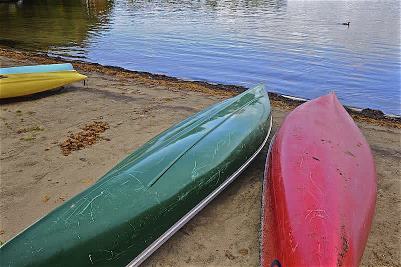 Kano Test 🧪 Ally kanoer? Er det bra?🛶 Hvem stikker av med seieren?