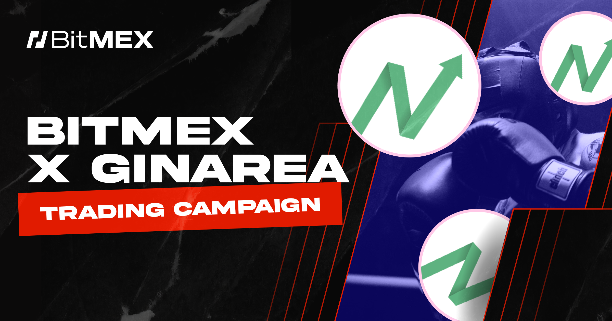 BitMEX x Ginarea