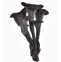 Sienestys | Sienireseptit ja -vinkit | K-Ruoka