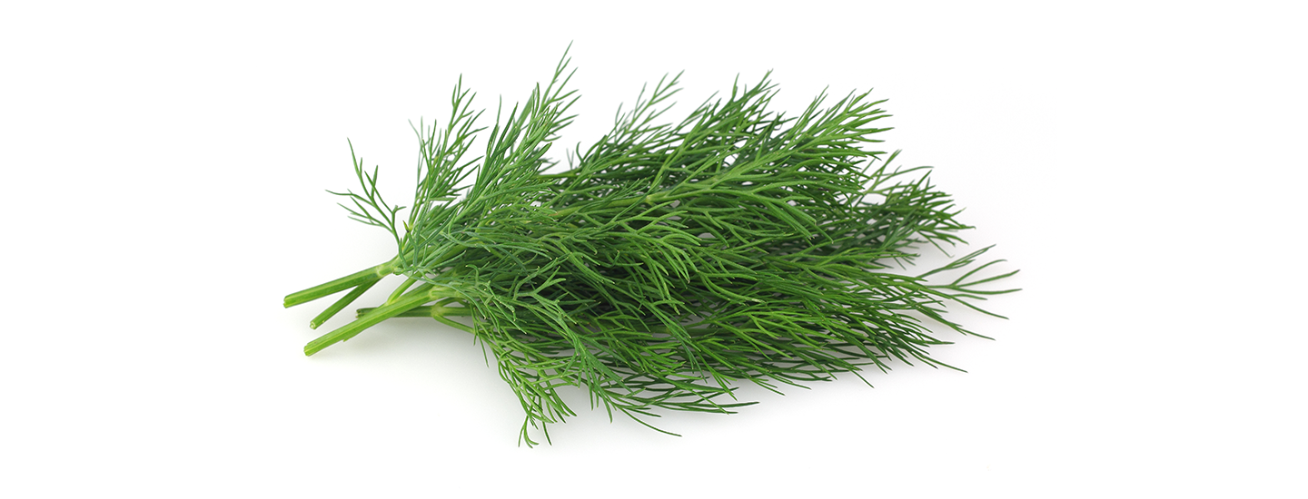 Tilli ruoanlaitossa | Reseptit ja vinkit | Yrtit | K-Ruoka