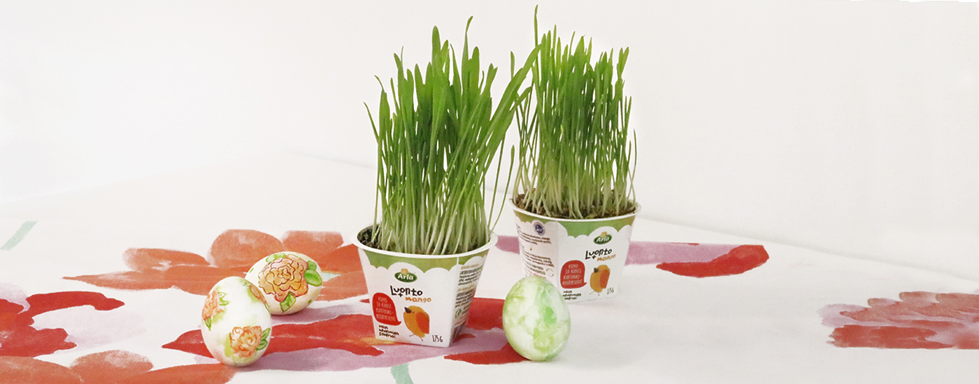 Rairuohon kasvatus | Ohjeet rairuohon kasvatukseen ja koristeluun – K-Ruoka