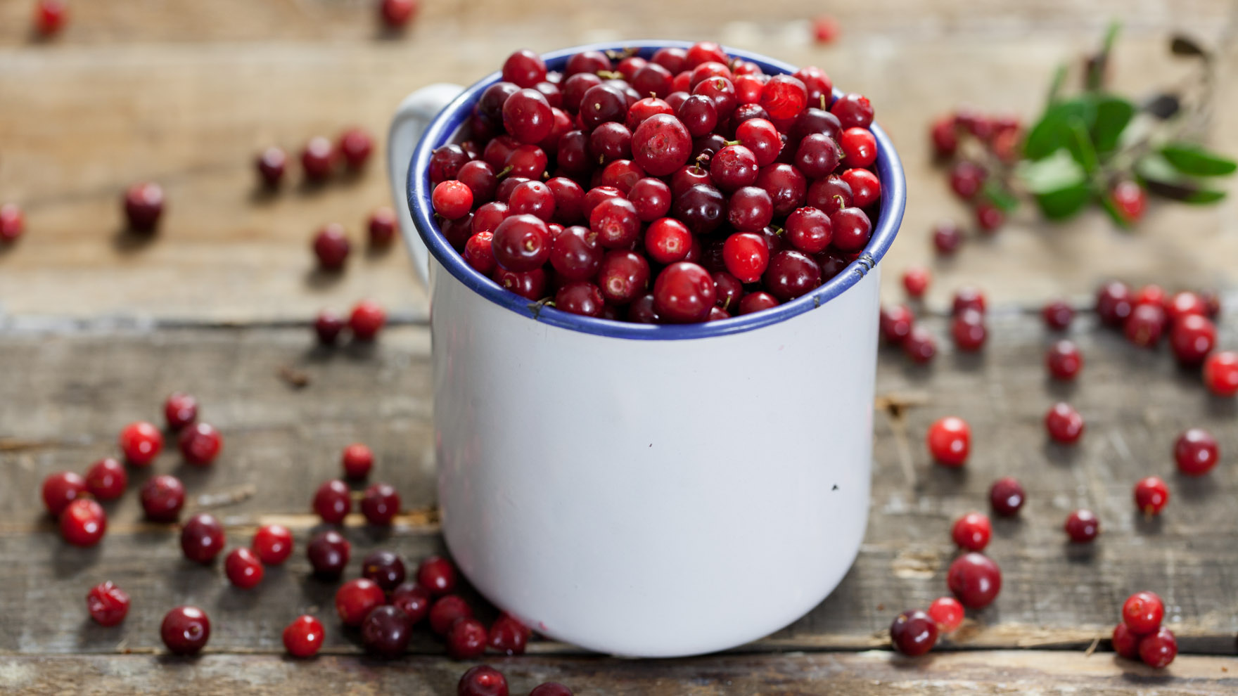 Puolukka | Puolukkareseptit | Puolukkahillo | K-Ruoka