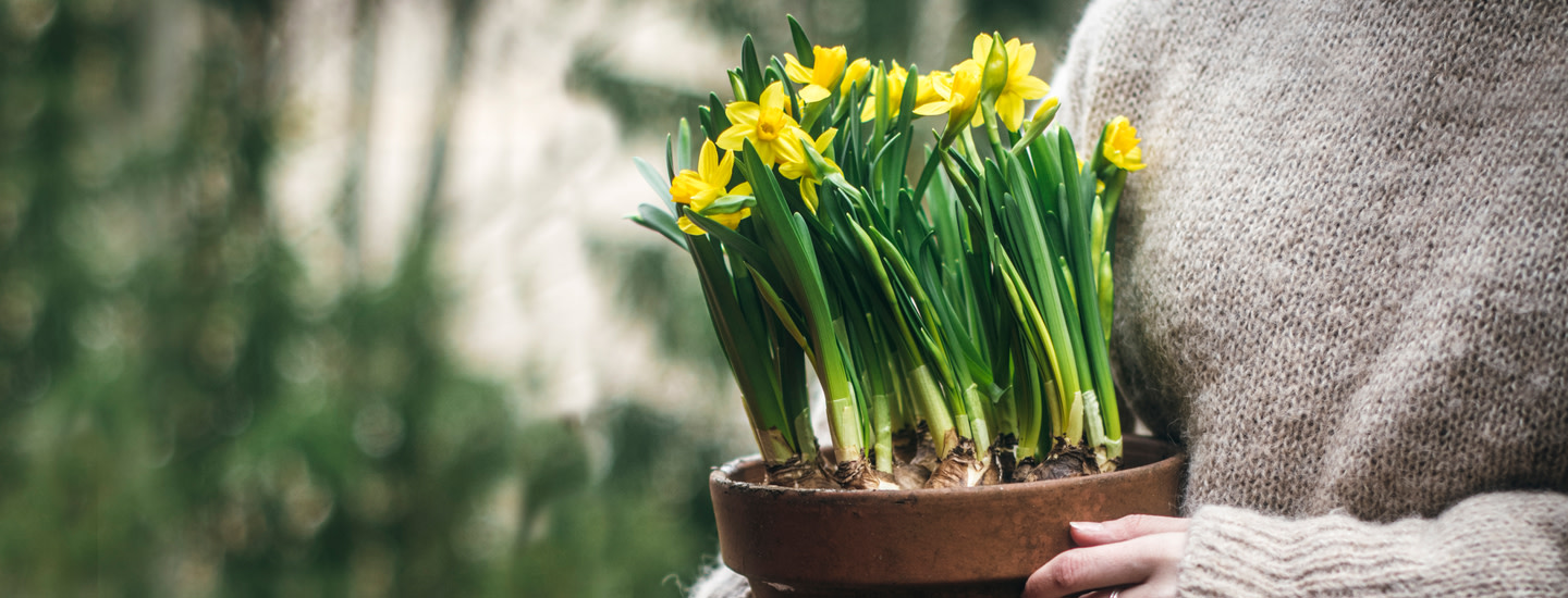 Pirkka | Pirkka-tuotteet – K-Ruoka