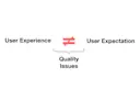 What is a quality issue?