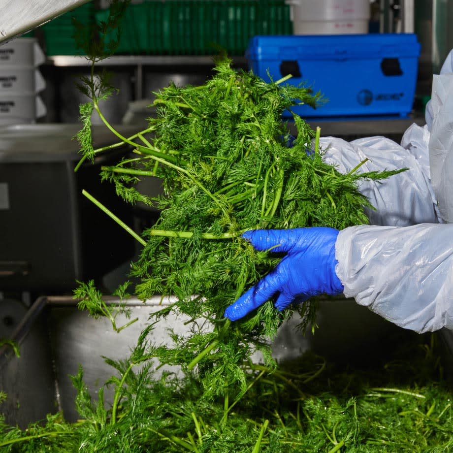 Join Our Team | CAVA