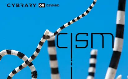 Kelly Handerhan, Cybrary Instructor | Cybrary