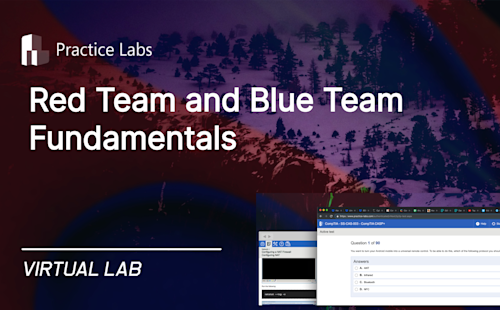 Red Team and Blue Team Fundamentals | Cybrary Red Team and Blue Team Fundamentals | Cybrary
