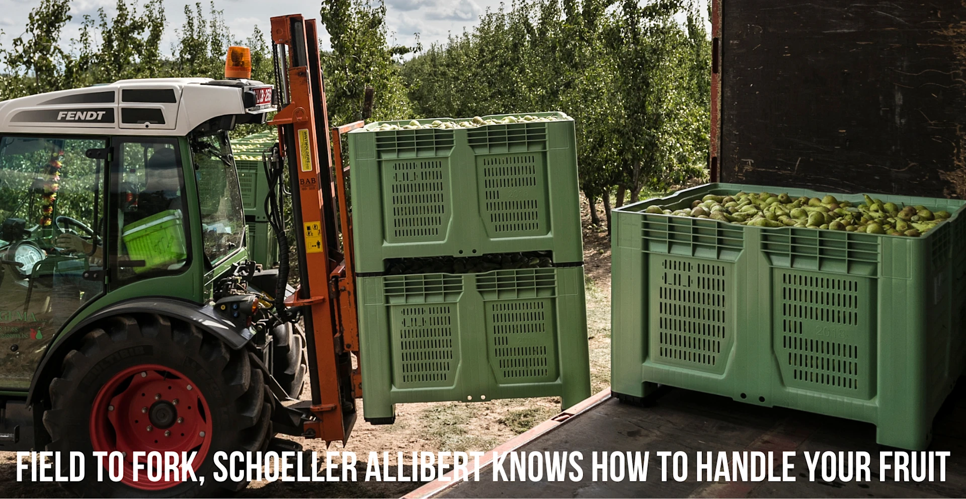 Field to Fork: Schoeller Allibert - Experts in Handling Fragile Fruit ...