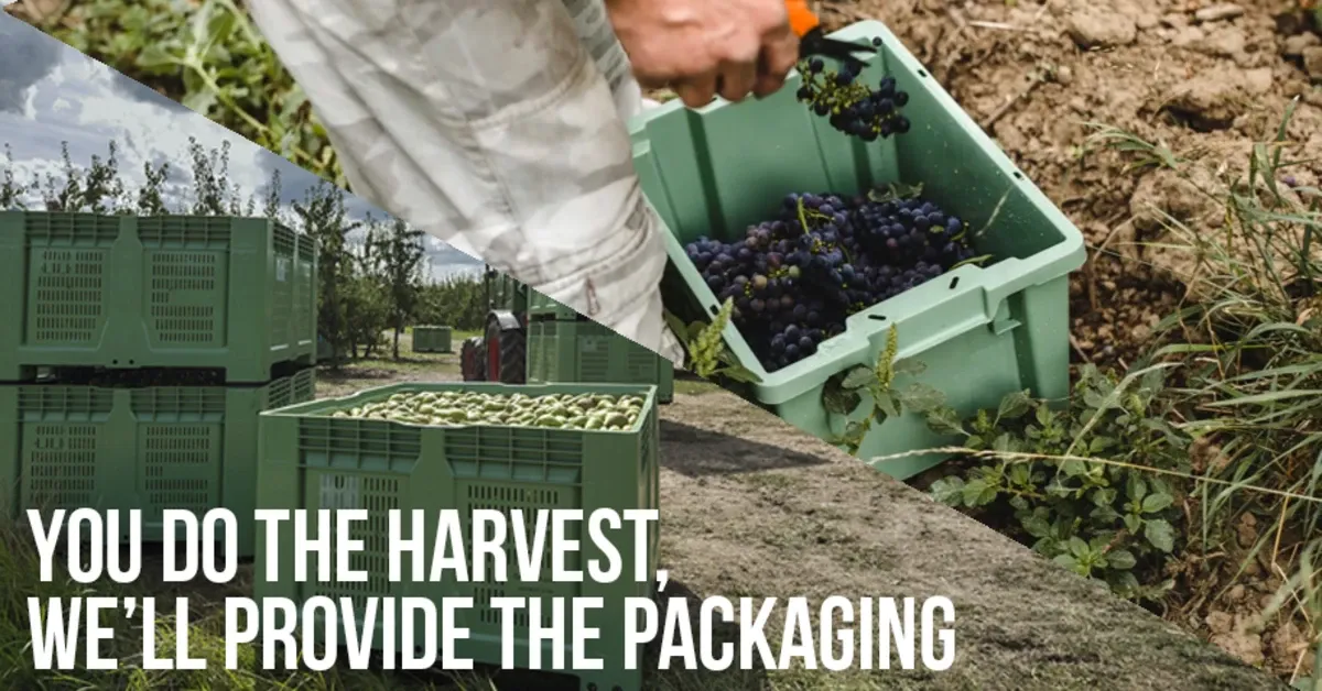 You Harvest, We Package: Innovative Solutions for Efficient ...