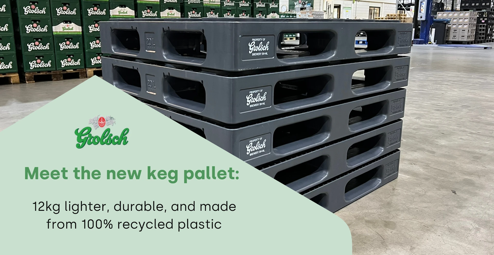 Sustainable Keg Pallets for Grolsch – 100% Recycled Plastic | Schoeller Allibert