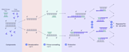 Primer Design For PCR Primer Design For PCR
