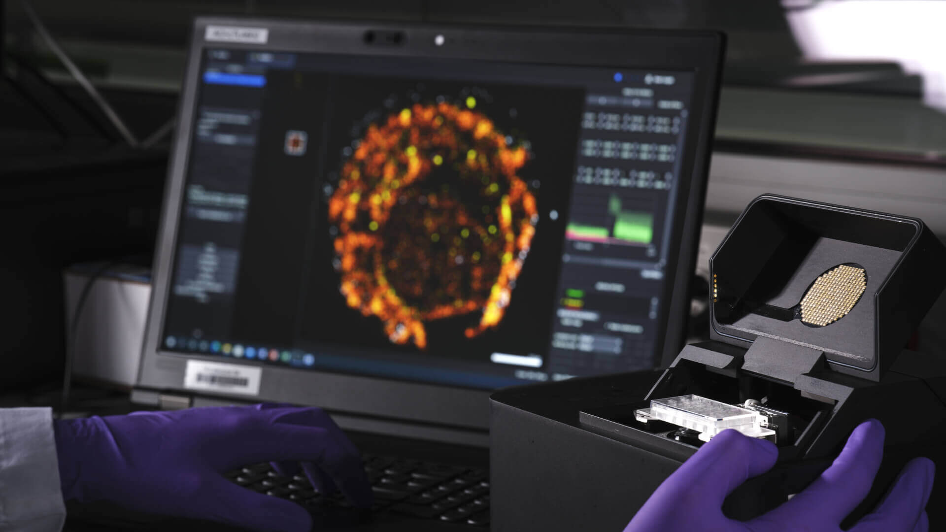 Cloud-based platform for biotech R&D | Benchling