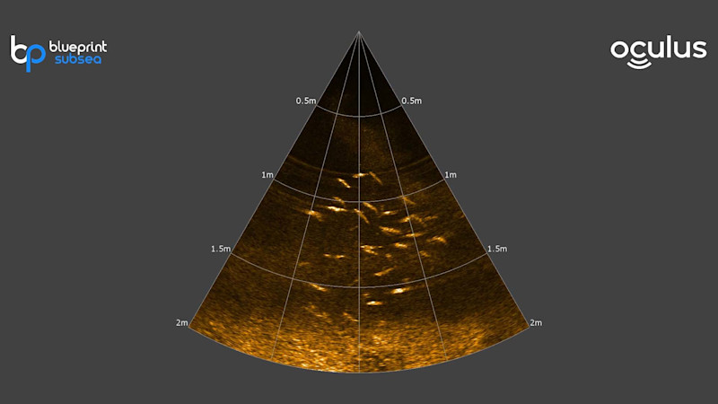Blueprint Oculus Multibeam Sonars | M1200D | Deep Trekker