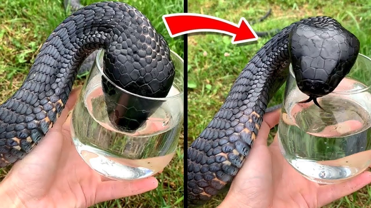 Proof That Nature is SCARY! | Be Amazed