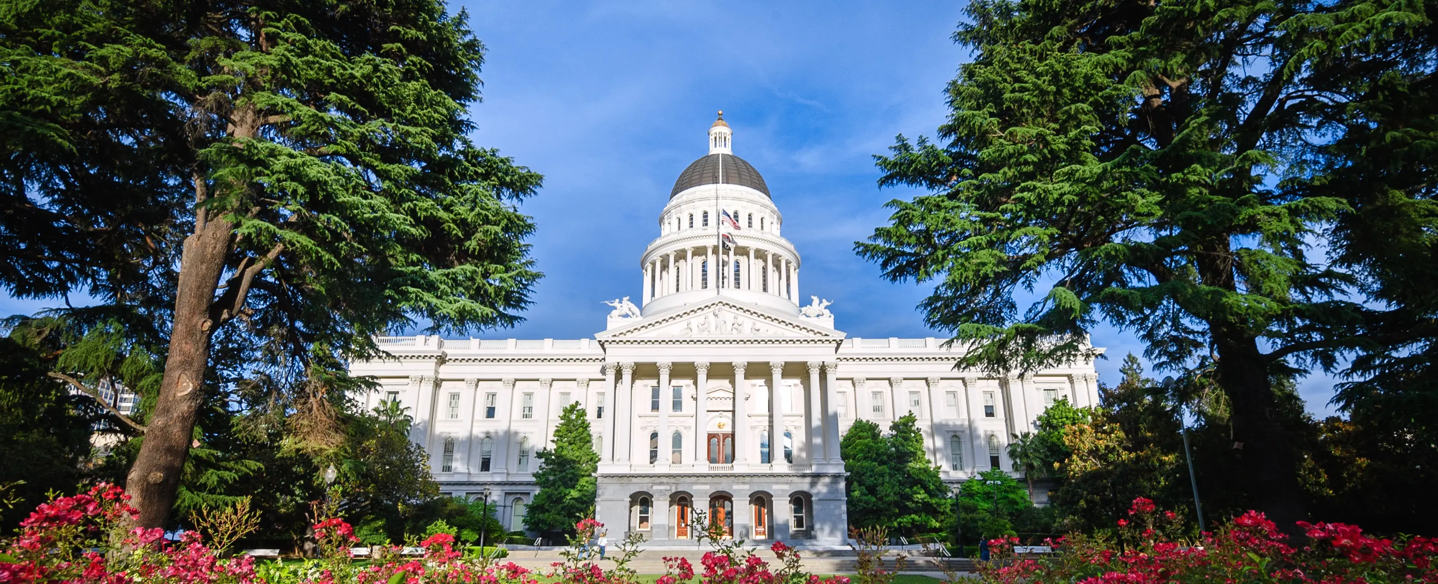 Court Reporters Sacramento, California | NAEGELI Deposition & Trial
