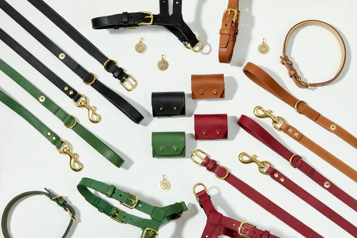 Luxury Leather Harness for Small Dogs • Albert & Arthur England